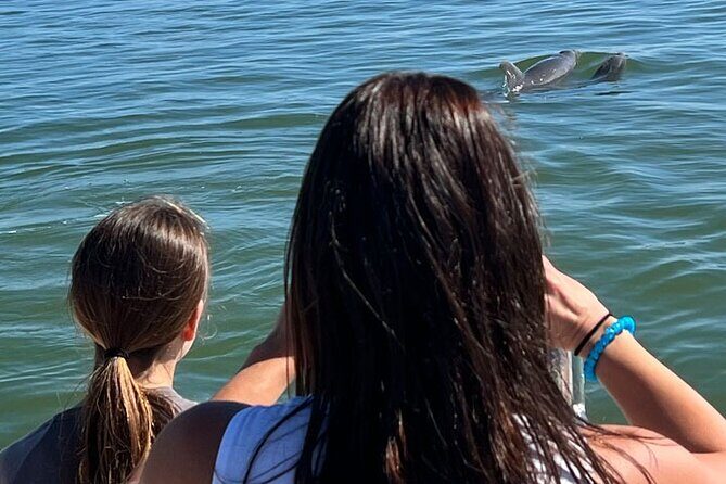 Island Paradise: Dolphin, Shelling, Birding Eco Boat Tour - Wrapping It Up