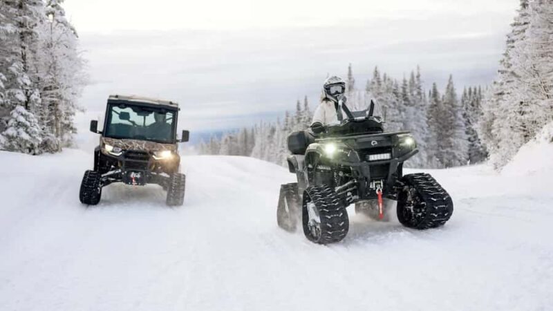 Island Park: Full Day Tracked UTV Rentals - The Sum Up