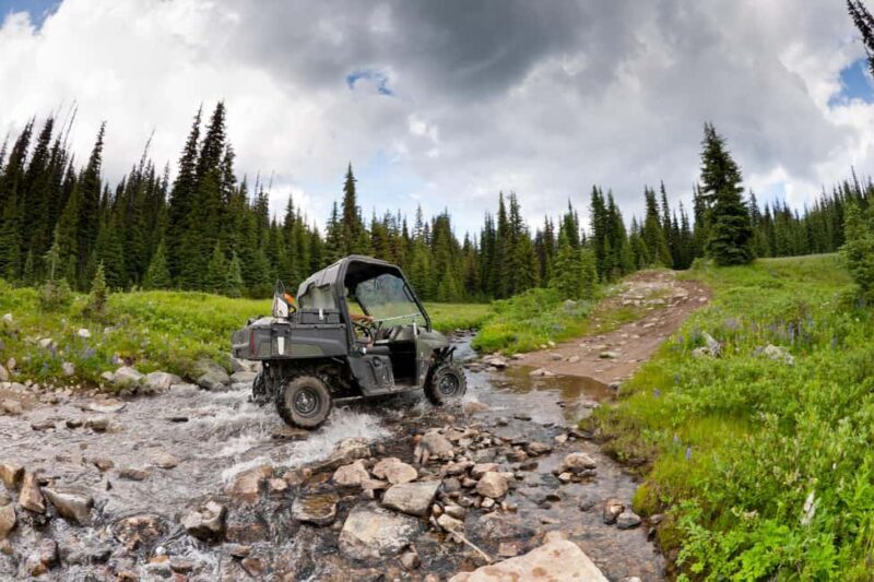 Island Park: Full-Day UTV Adventure - What We’ve Learned from Others