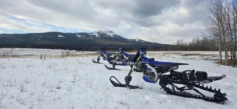 Island Park: Guided Snowbike Adventure - Who Will Love This?