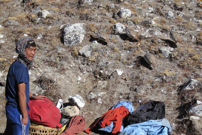 Island Peak Climbing ( 6,189M ) - Authentic Feedback from Travelers