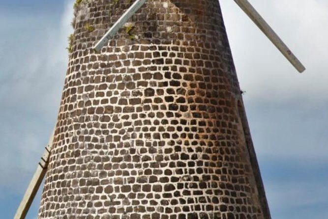 Island Safari 4x4 Discovery Tour from St John's - The Route and What You Can Expect