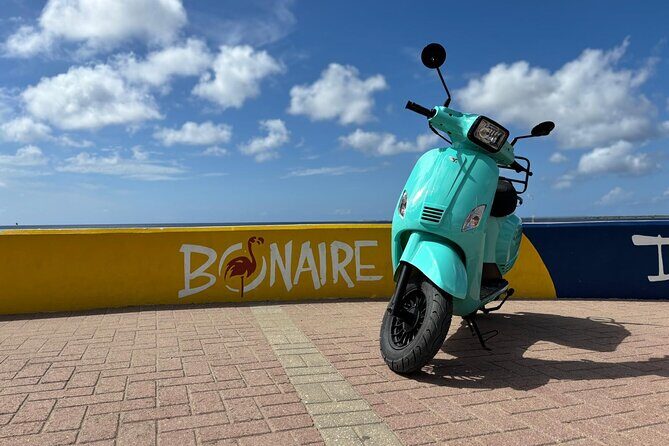 Island Scooter Tour Bonaire - An In-Depth Look at the Bonaire Scooter Tour