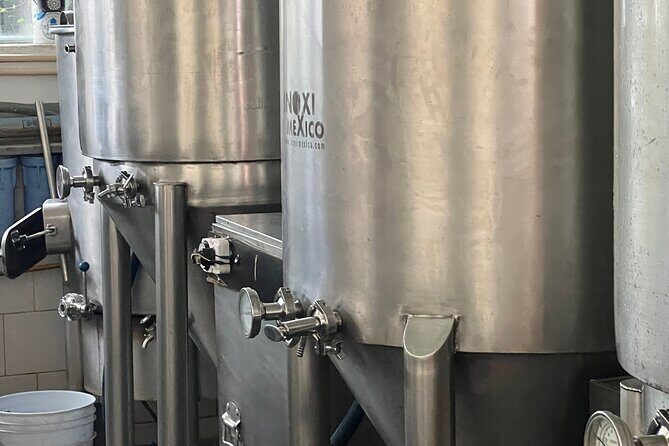 Island Shakers: Cozumel Mixology & Taco Tour - The Sum Up