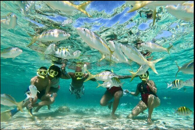 Island Snorkeling and Scenic Adventure in Dominican Republic - The Sum Up: Is This Tour Worth It?