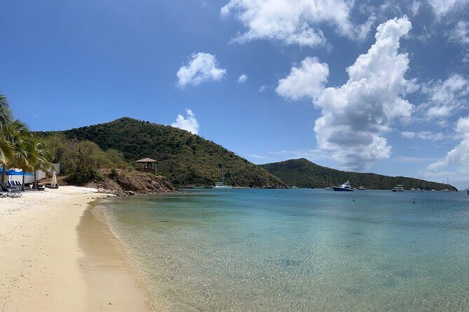 Island & Snorkeling Tour  Smuggler + Cane Garden Bay - An In-Depth Look at the Tour Experience