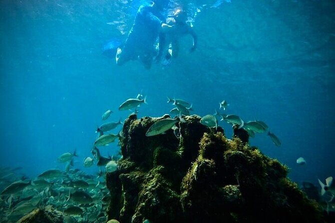 Island & Snorkeling Tour  Smuggler + Cane Garden Bay - Who Will Love This Tour?