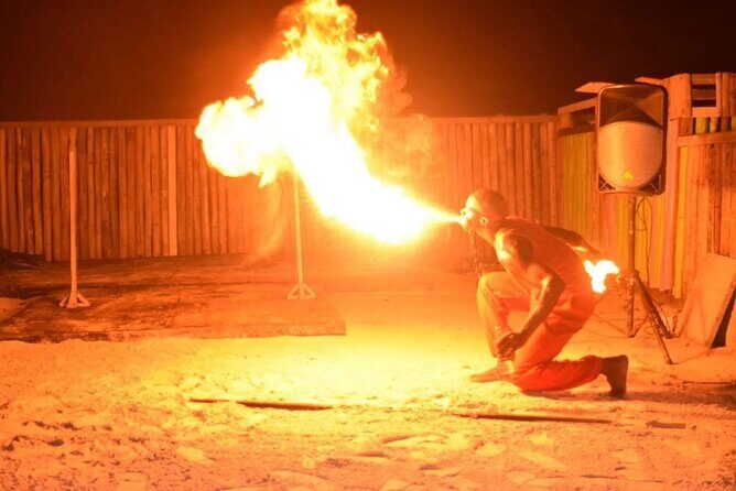 Island Surfers Bioluminous Tour - What to Expect from the Tour