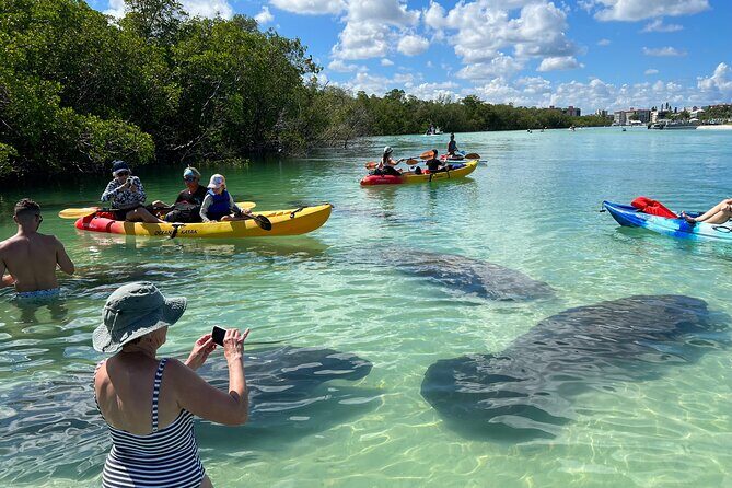 Island Tour by Pedal HOBIE / Kayak / SUP - Fort Myers Beach - A Deep Dive into the Experience