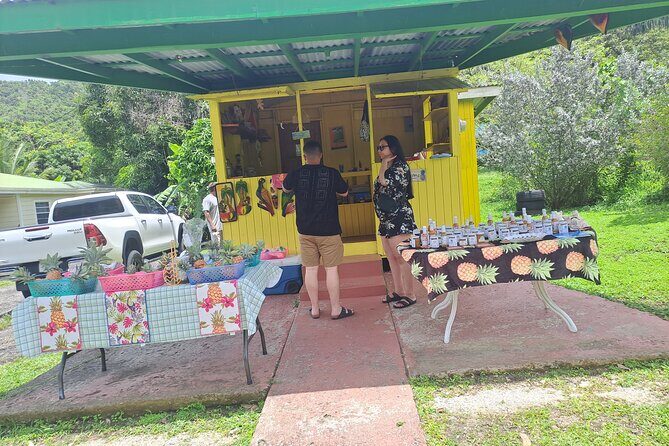 Island Tour - An In-Depth Look at the Antigua Island Tour