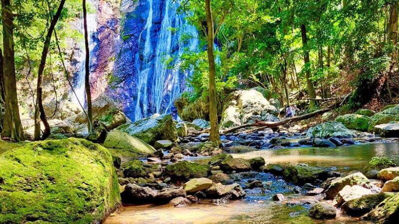 ISLAND TOUR ECO AROUND KOH SAMUI HALF DAY RARE SIGHTSEEING - Wrap-Up and Return