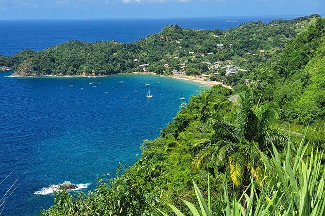 Island Tour (Food and Drinks include) - Group Size and Timing