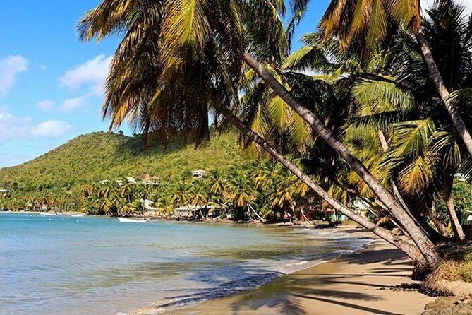 Island Tour Sightseeing - Final Thoughts