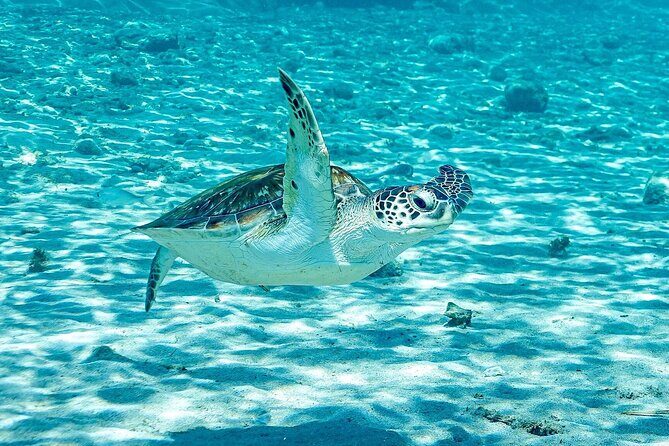 Island Treasures: Caves, Turtles and Turquoise Beach Break - What Could Be Better?