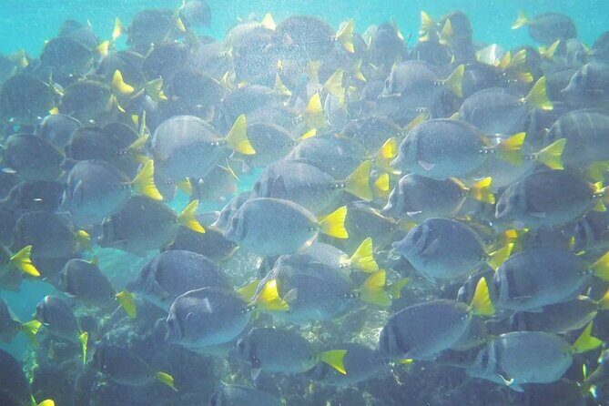 Islas Marietas PRIVATE enter hidden beach 100% GUARANTEED - Practical Details for Planning