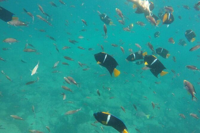 Islas Marietas PRIVATE enter hidden beach 100% GUARANTEED - The Value of This Experience