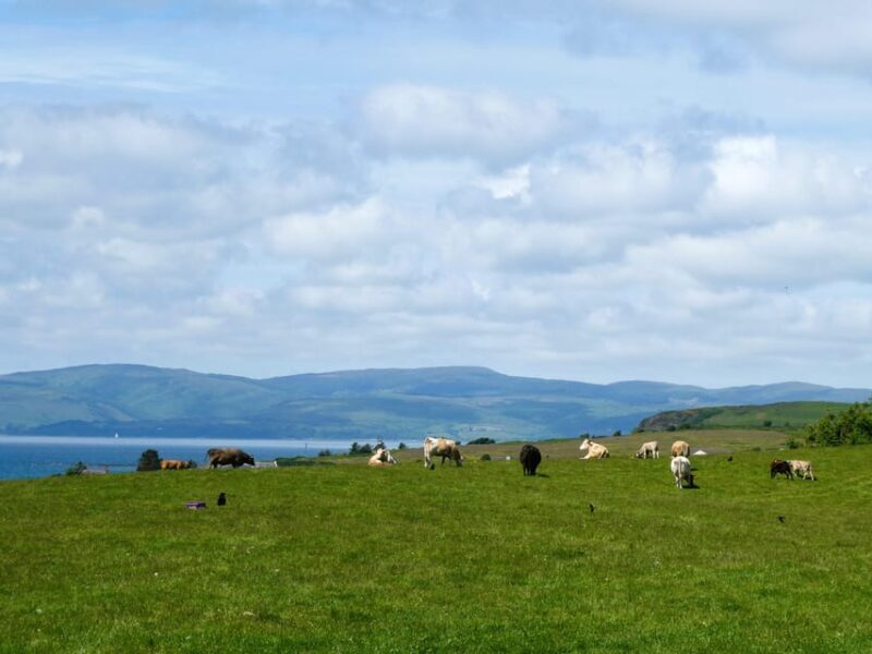 Isle of Arran: Exclusive Private Farm Tour with the Farmer - Exploring the Isle of Arran: A Private Farm Experience Worth Your Time