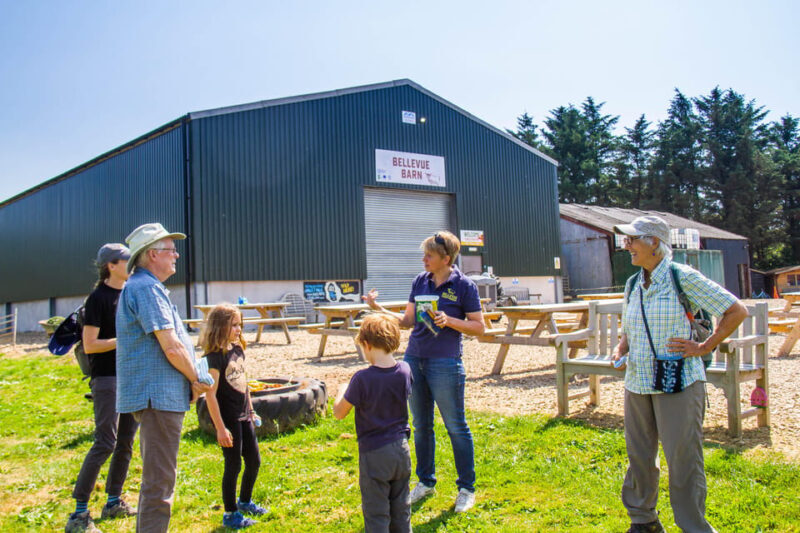 Isle of Arran: Exclusive Private Farm Tour with the Farmer - An Intimate Look at Arran’s Farming Heritage
