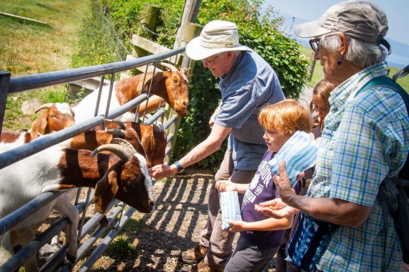 Isle of Arran: Exclusive Private Farm Tour with the Farmer - In The Sum Up: Is It Worth It?