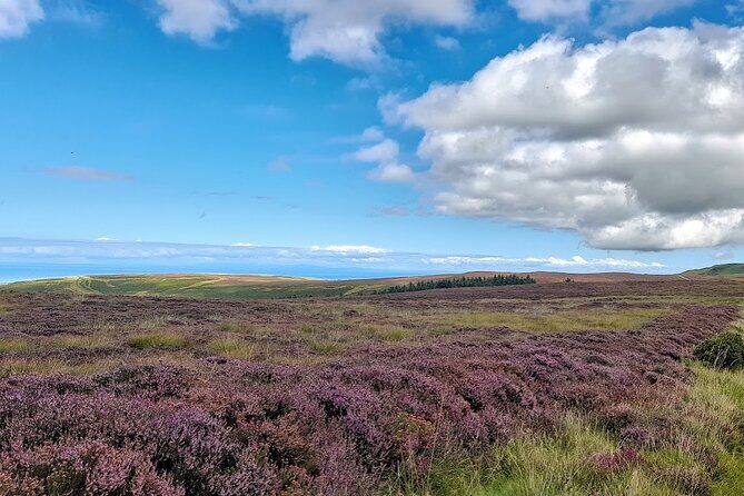 Isle of Man Discovery Tour with experienced Driver Guide - Detailed Breakdown of the Itinerary and Experience