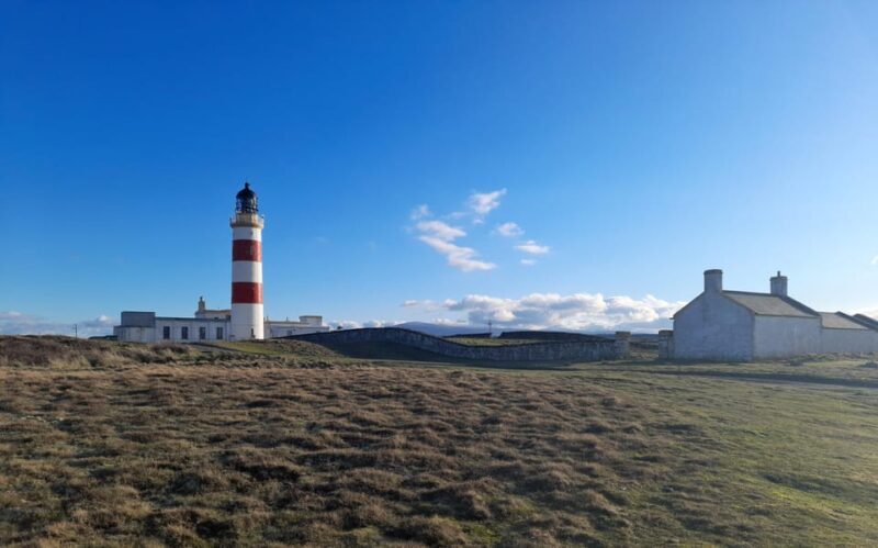 Isle of Man: Half Day Wildlife Adventure Tour - Key Points