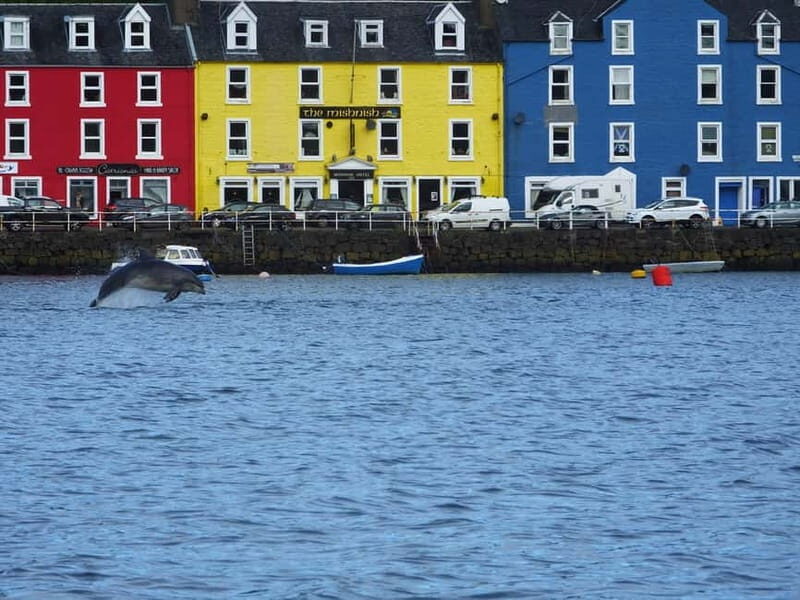 Isle of Mull: Guided Coastal Walk to Tobermory Lighthouse - The Itinerary: From Tobermory to the Lighthouse