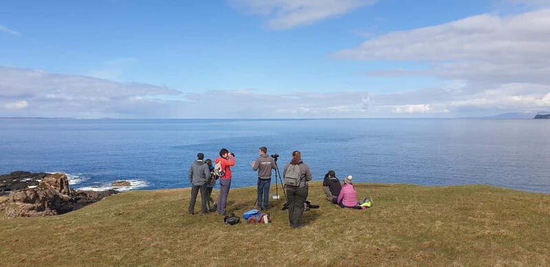 Isle of Mull: Guided Wildlife Watch at Glengorm Castle - Key Points