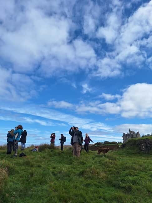 Isle of Mull: Guided Wildlife Watch at Glengorm Castle - Who Will Love This?