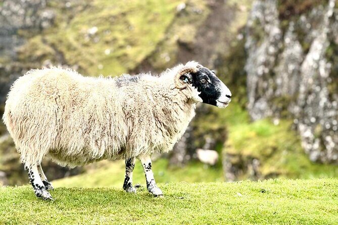 Isle of Skye from Inverness Private Tour - Final Thoughts: Is This Tour Worth It?