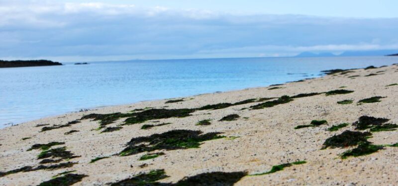 Isle of Skye: Portree to Fairy Pools Smartphone Guide - Final Thoughts: Who Is This Tour Best For?