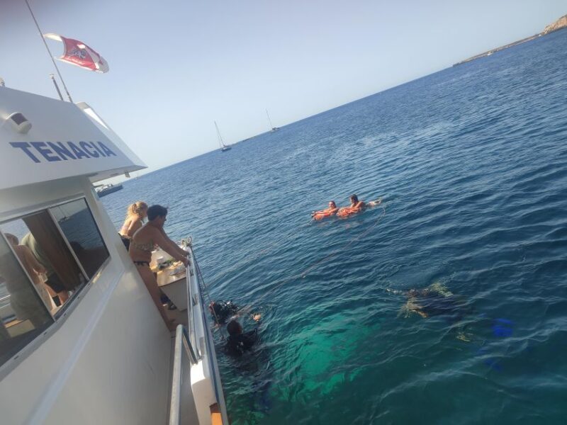 Isole Egadi: Day sea Cruise whit tasting local Food - Why Travelers Love This Tour