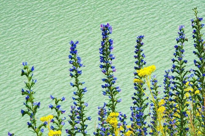 Issyk Lake & Bear Waterfall In Turgen Gorge+Golden Man museum - FAQ