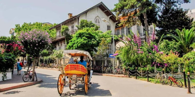 Istanbul 3 Island Cruise with Lunch & Free Time - The Itinerary and What to Expect