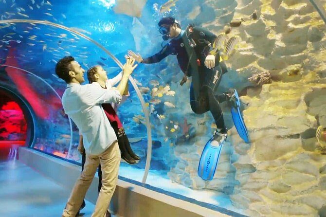Istanbul Aquarium and Aqua Florya Independent Shopping Trip - Summing Up: Who Will Love This Tour?