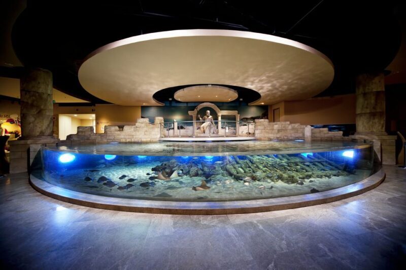Istanbul Aquarium and Aqua Florya Shopping Mall Tour - Key Points