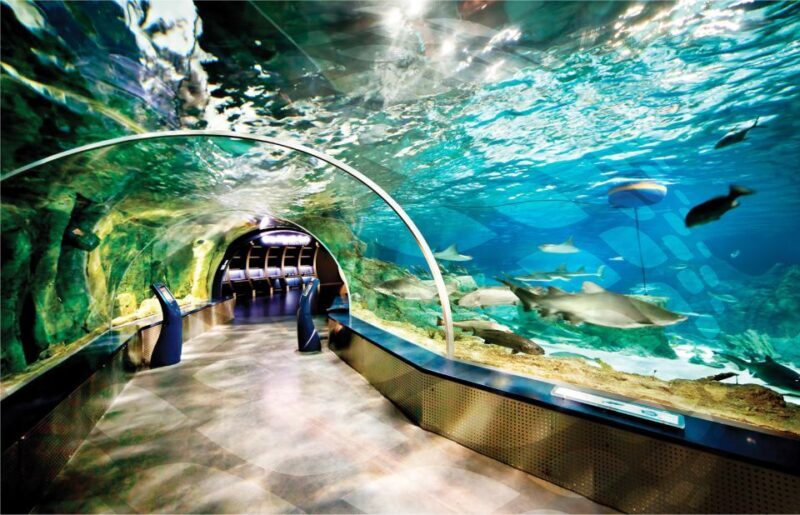 Istanbul Aquarium and Aqua Florya Shopping Mall Tour - An In-Depth Look at the Tour Experience