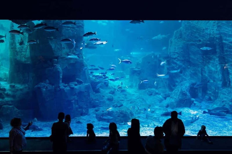 Istanbul: Aquarium Ticket and Round Trip Shuttle from Taksim - FAQ