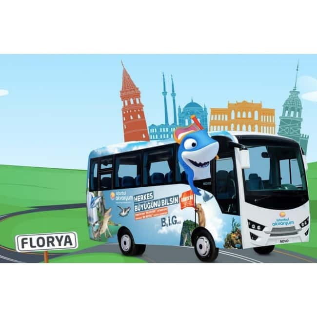 Istanbul: Aquarium Ticket with Shuttle Bus from Sultanahmet - Key Points