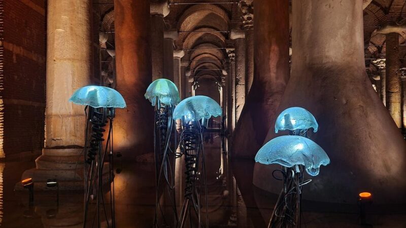 Istanbul: Basilica Cistern Skip-the-Line Entry Ticket - Key Points
