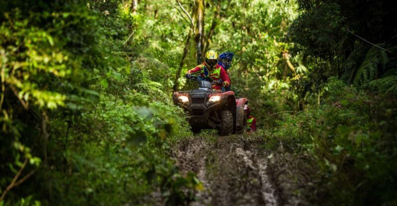 Istanbul: Belgrad Forest ATV Tour with Ziplining Option - Key Points