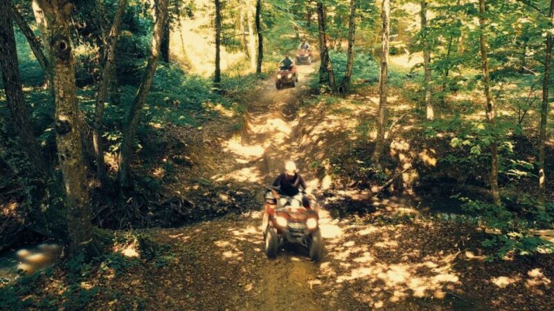 Istanbul: Belgrad Forest ATV Tour with Ziplining Option - Introduction - What Does the Tour Offer?