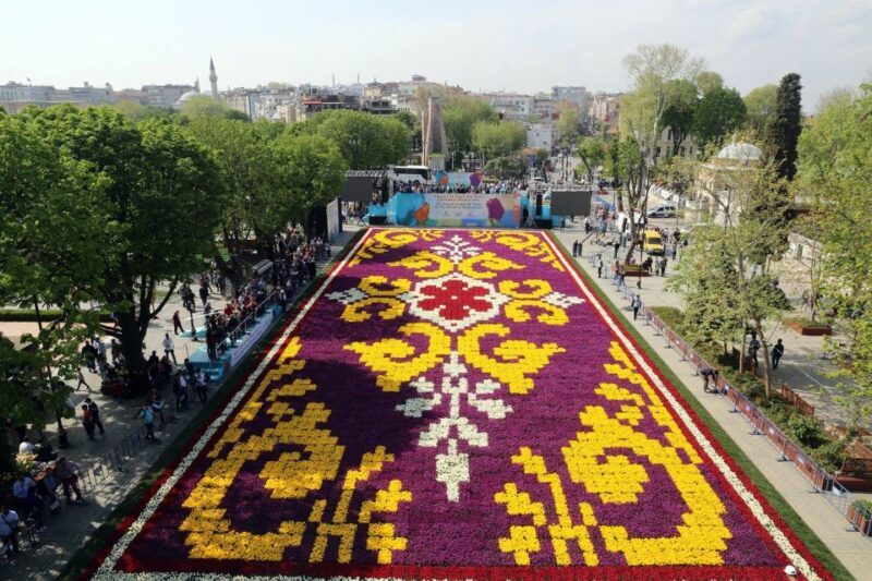 Istanbul: Best of Istanbul Tour with Lunch and Tickets - Authentic Feedback and Insights