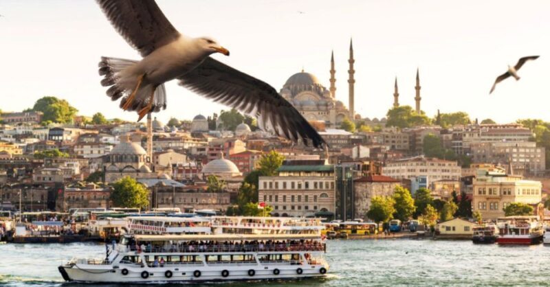 Istanbul: Bosphorus And Golden Horn Morning or Sunset Cruise - Who Will Love This Tour?