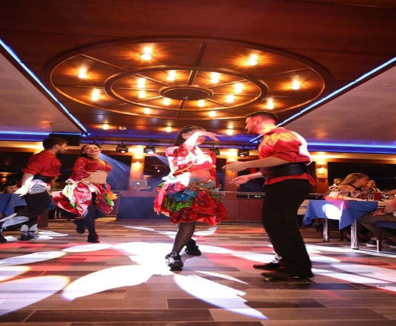 Istanbul Bosphorus Dinner Cruise Tour - Private Table - Navigating the Itinerary and Experience