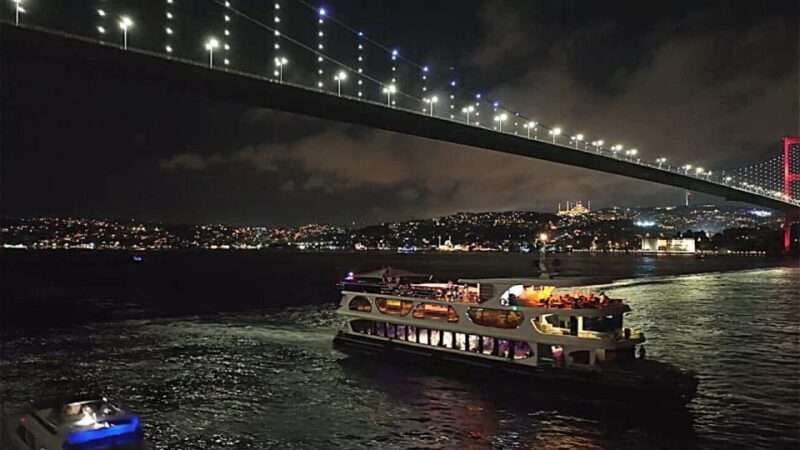 Istanbul: Bosphorus Dinner Cruise with Drinks & Turkish Show - Who Will Love This Experience?