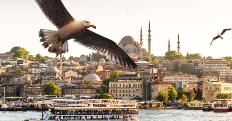 Istanbul: Bosphorus Morning/Sunset Cruise with Optional Stop - Key Points