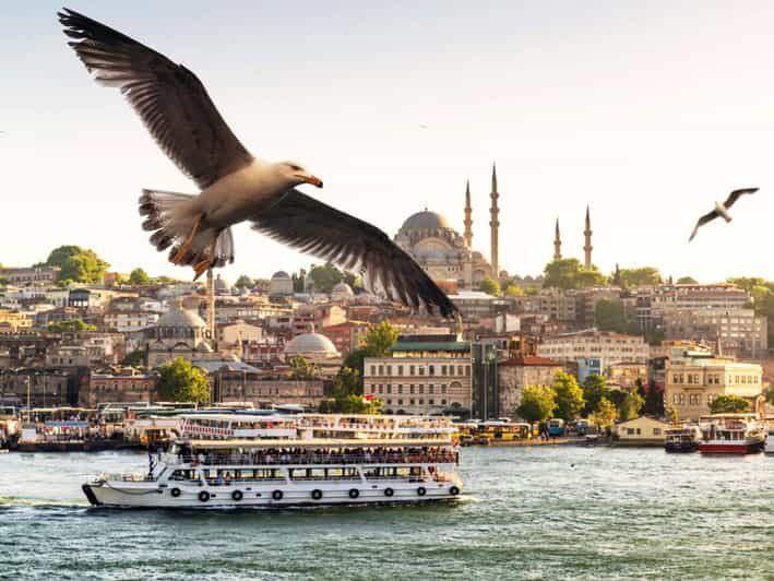 Istanbul: Bosphorus Morning/Sunset Cruise with Optional Stop - What to Expect During the Cruise