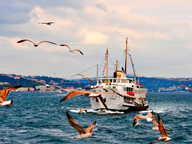 Istanbul: Bosphorus Morning/Sunset Cruise with Optional Stop - The Real Experience: What Travelers Are Saying