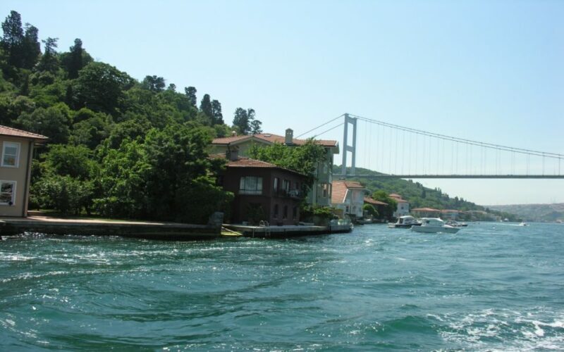 Istanbul: Bosphorus Sightseeing Boat Tour with Guide - Why This Tour Works Well