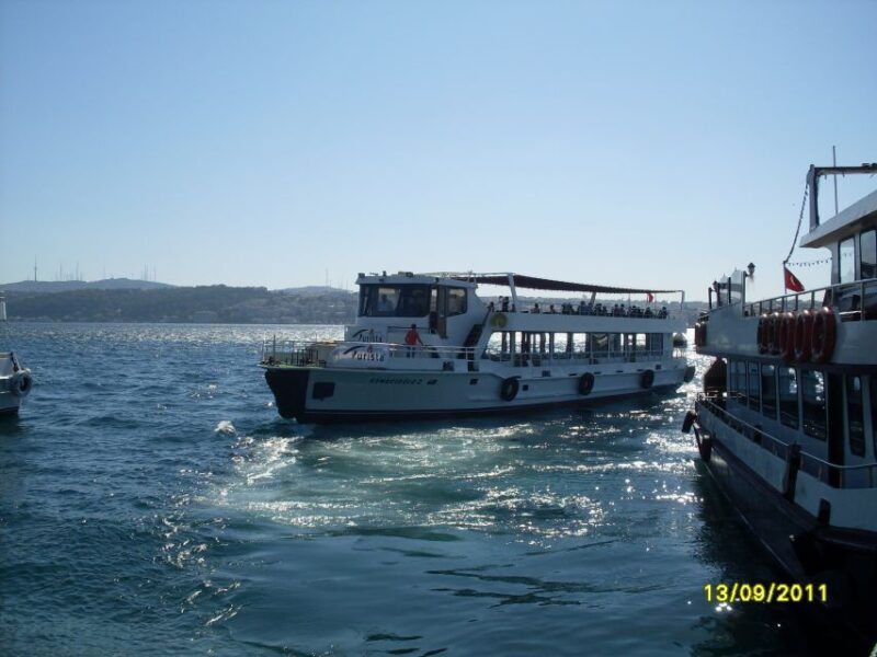 Istanbul: Bosphorus Sightseeing Boat Tour with Guide - The Sum Up